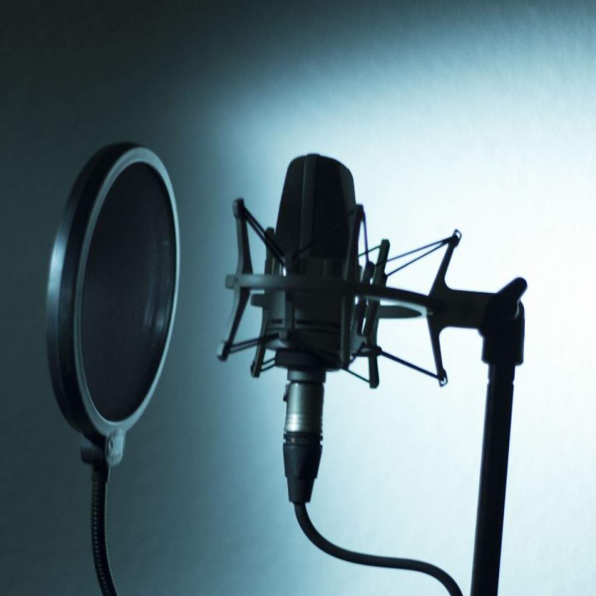 Understanding the Different Tone of Voice for Effective Communication ...