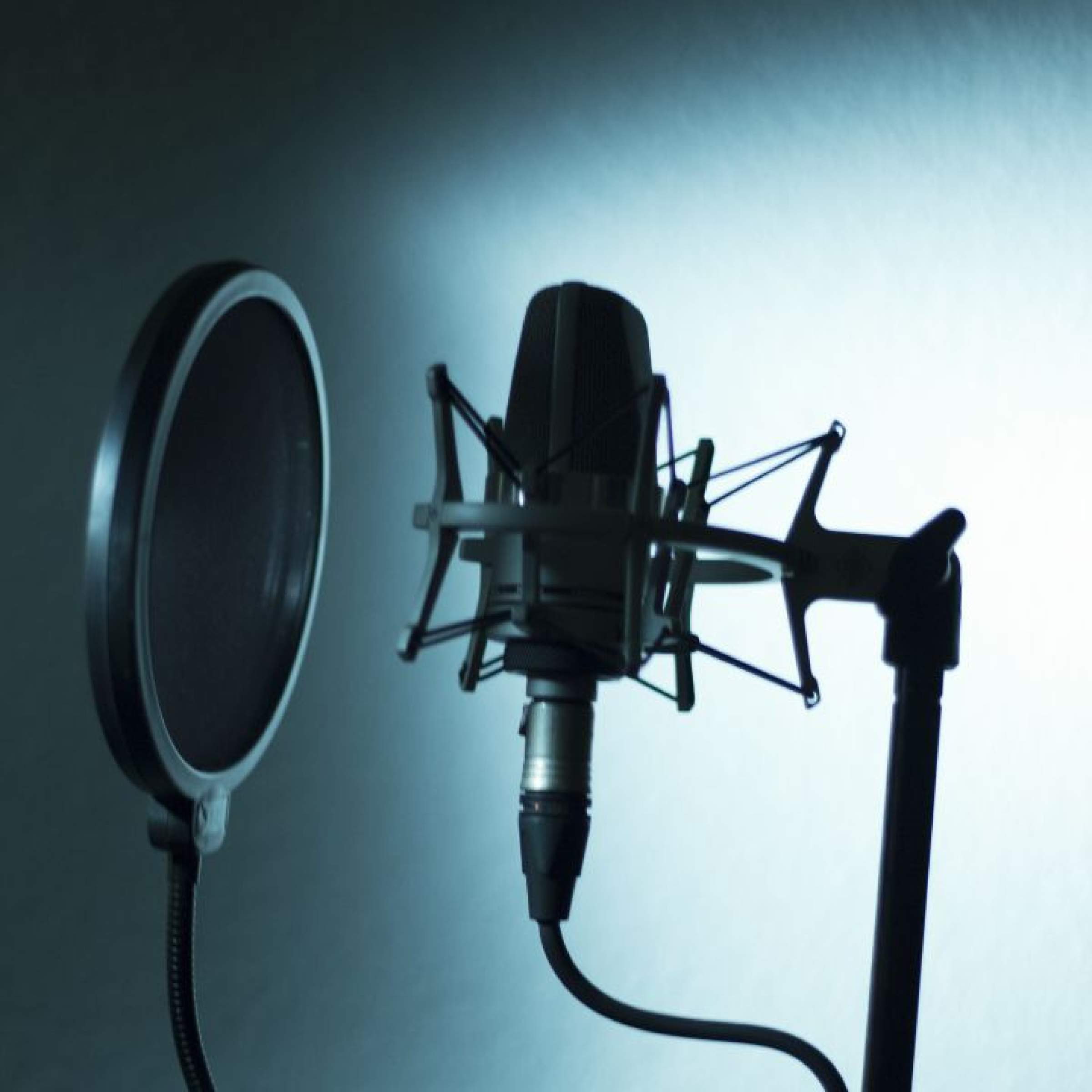 Understanding the Different Tone of Voice for Effective Communication ...